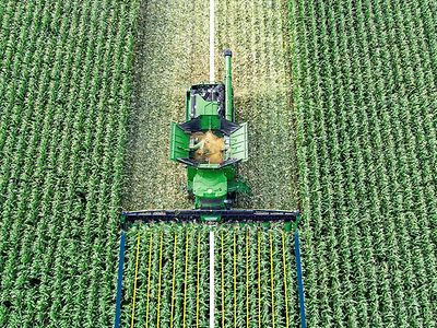 Harvest | John Deere IE
