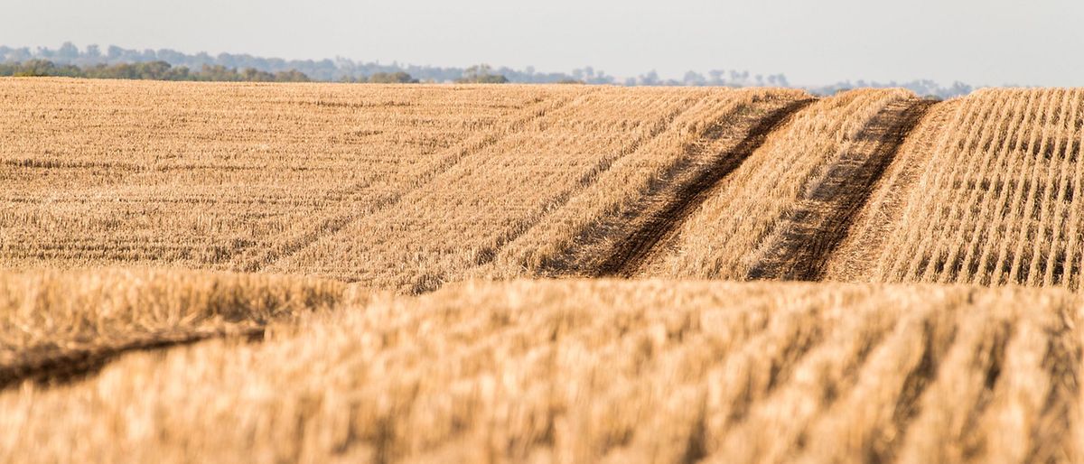 Connectivity And Digitalization John Deere Ie