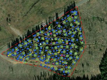 TimberManager | John Deere IE